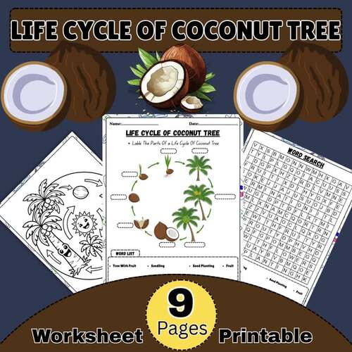 Life Cycle Of Coconut Tree Worksheet | Coconut Tree Growth Stages & Plant