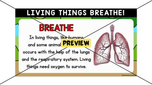 Living Nonliving Sort Science Classification Lesson Worksheets | TPT