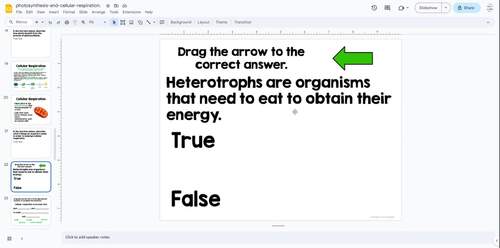 Photosynthesis and Cellular Respiration Interactive Lesson | TPT