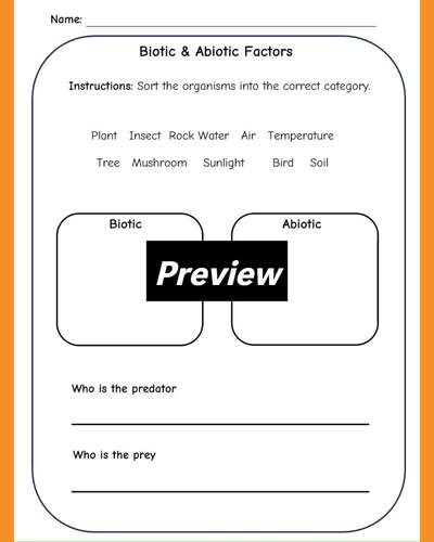 Ecosystem Activities 3rd–5th Grade | Worksheets Prinable | 10 Pages ...