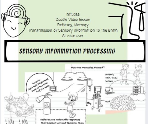 Sensory Information Processing (reflexes and memory) Doodle Video Download