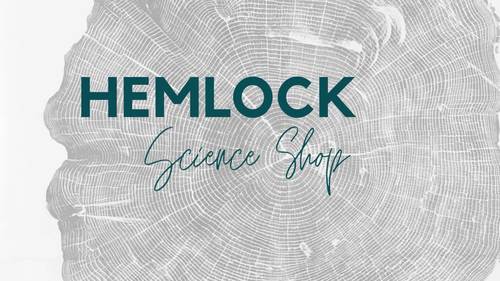 Google Goodies: Human Body Interactives, CLOZEs & Quizzes - 35 at 40% off!