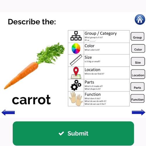 Describing Common Objects BOOM CARDS™ by Bri-SLP | TPT