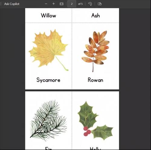 Autumn Leaf Scavenger Hunt | UK Trees | Science: Plants Activity ...