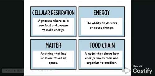Simplified Biology Vocabulary Cards for Special Education by Jenna B