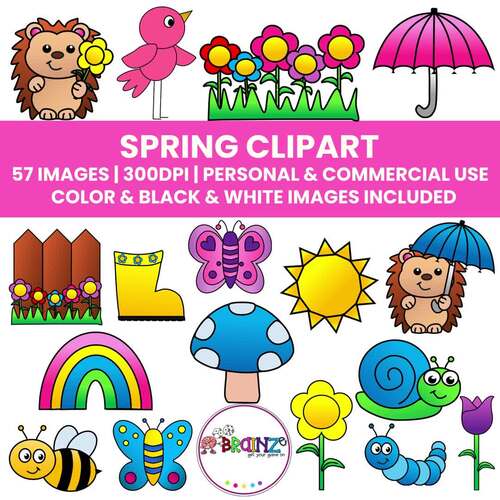 Spring Clipart Bundle | Flowers, Bugs, Animals & Seasonal Graphics (57 PNGs