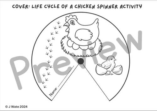 Chicken Life Cycle Activity Worksheets & Interactive Spring Science ...