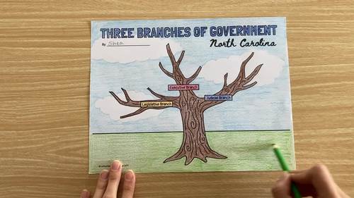 North Carolina 3 Branches of Government Sorting Activity PRINT and DIGITAL