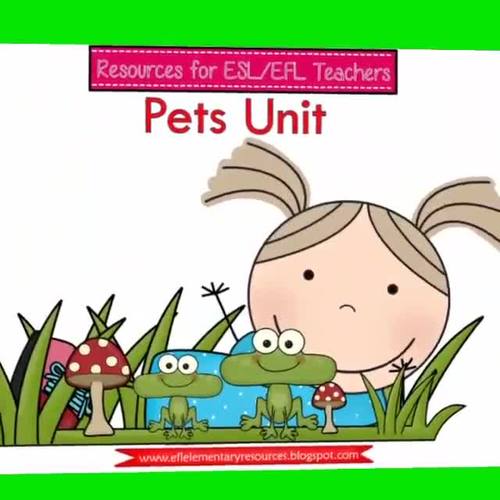 Pets Theme for Elementary ELL by HOLISTIC English Resources by ROSA AMELIA
