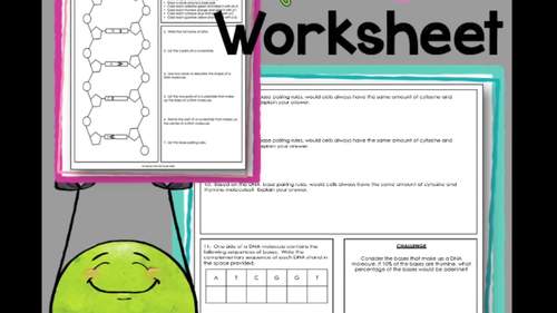 DNA Structure Worksheet Activity Printable and Digital Resource Assessment