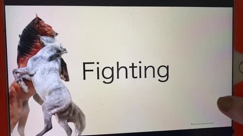 ANIMAL BEHAVIORS FOR REPRODUCTIVE SUCCESS PowerPoint and Worksheets MS ...