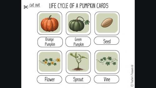 All About Pumpkins: Parts of a Pumpkin Life Cycle Craft, Worksheet ...