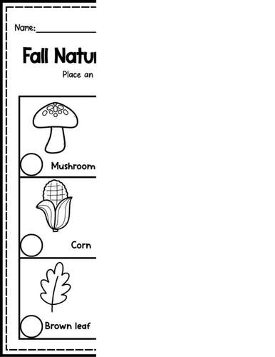 Nature Scavenger Hunt Fall | Fall Nature Walk Scavenger Hunt Printable