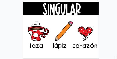 Gramatica- Sustantivos Singulares y Plurales by That Bilingual Teacher Jo