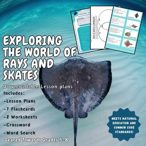 Exploring the World of Rays and Skates – Grades 5–8 Lesson Plan | TPT