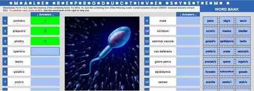 Male Reproductive System Medical Terminology Combining Forms | TPT