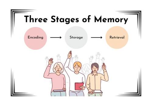 Improve Memory Skills Tips and Tricks Flash Cards Activity Set | TPT