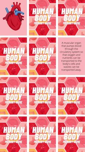 Human Body Memory Game by MIDDLE MINDS Aus | TPT