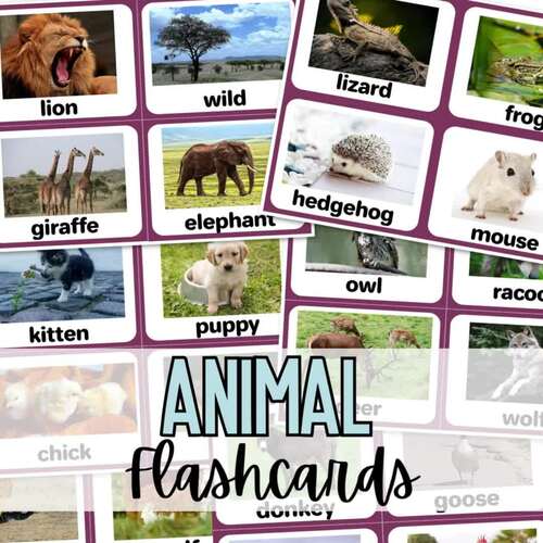 Animal Vocabulary Flashcards with Real Pictures for ESL Speech by The ...