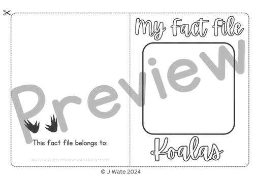 Animal Research Project | Animal Habitats | Koalas Fact File Worksheets