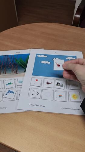 FREE Wh-Question WHERE? Sorting Activity - 9 Scenes! by Salubris Speech ...