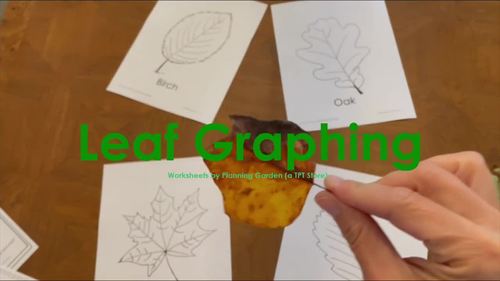 Leaf Bar Graph | Leaf Types Sort | Graphing {leaves, fall, spring science}