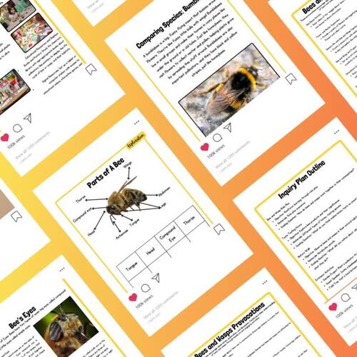 All About Bees & Wasps: Inquiry Unit Plans for Kindergarten Ontario ...