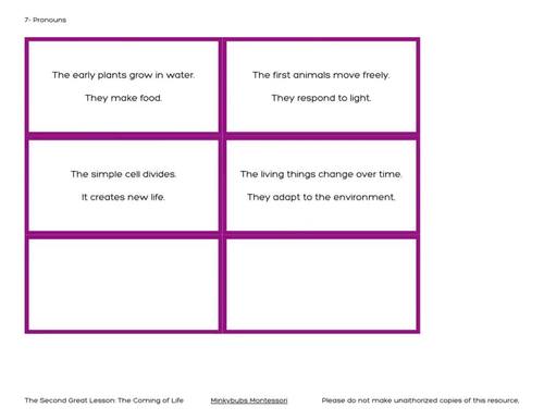Montessori Grammar Boxes Coming of Life Great Lesson GRAMMAR BOX Colours