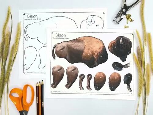 BUNDLE | Bison | Printable Paper Craft Templates | Bison | Crafts