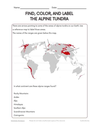 Alpine Tundra Biome Unit Study by Minkybubs Montessori | TPT