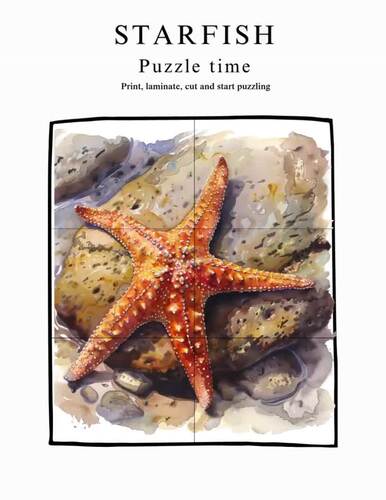 Starfish and Seahorse Unit Study and Activity Pack 3-6 years old ...