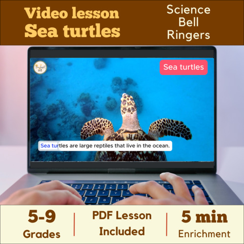 Science bell ringer video (4 min) - Sea turtles - Middle school | TPT