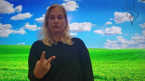 ASL Unit 8 Video 9 by Melissa Sexton | TPT