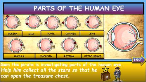 Parts of the Human Eye: Interactive Google Slides + PPT + 2 Worksheets