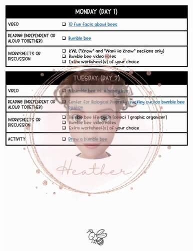 Bumble Bee Unit Study | Lesson Plan and NO PREP Activities | Endangered ...