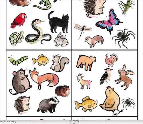 Insects, pets, farm, forest animals dobble/spot it card game | TPT