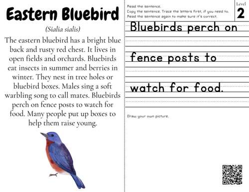 L2 Backyard Birds Nature Study Reading & Copywork Pack | Science ...