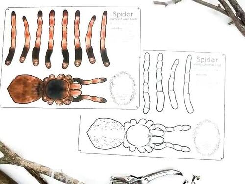 Spider | Jointed Animal Craft | Articulated Craft Template | Spiders