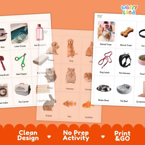 Pet Shop Dramatic Play Vocabulary Flashcards | Animals & Vet Clinic ...
