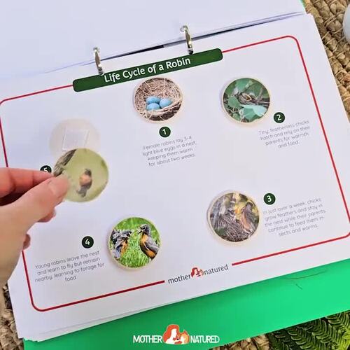 Autumn Busy Book | Fall Busy Book | Autumn Activities | Fall Activities