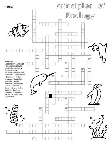 Principles of Ecology Vocabulary Puzzle Biology by Secondary Science HQ