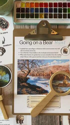 Grizzly & Black Bear Nature Unit by For the Love of Homeschooling