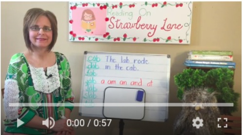 VIDEO: Reading: Set 1. Lesson 1. Word Family Pattern -ab | TPT