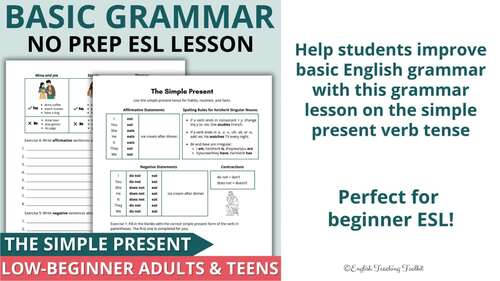 Low Beginner ESL Grammar Worksheets for Adult ESL - The Simple Present ...
