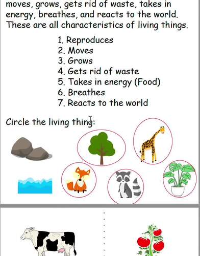 Needs and Characteristics of Living Things (Grade 1 Ontario Science)