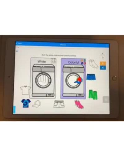 Functional Life Skills ADL: Grocery Sorting & Laundry Sorting by Ausome ...