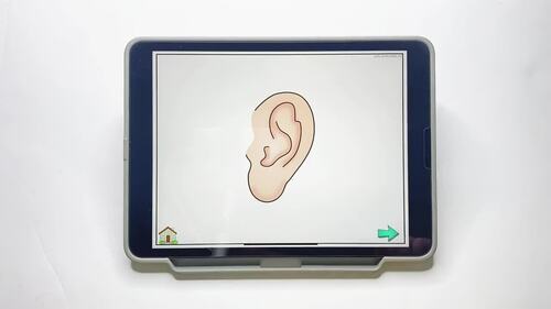 Digital Vocalic R Articulation for Screening, Progress Monitoring ...
