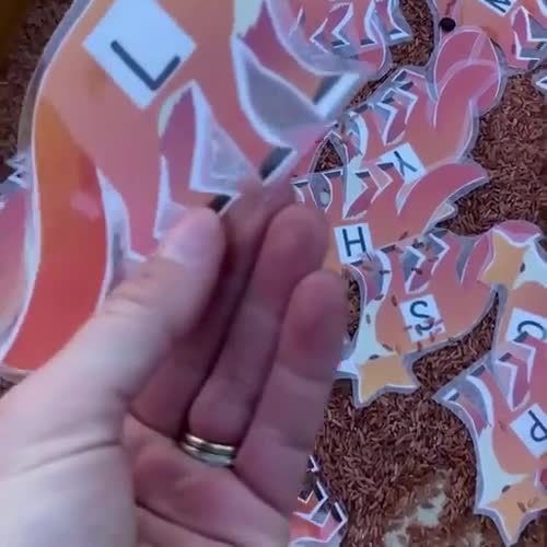 Letter Sorting and matching activity for preschool | Sensory bin | Fox