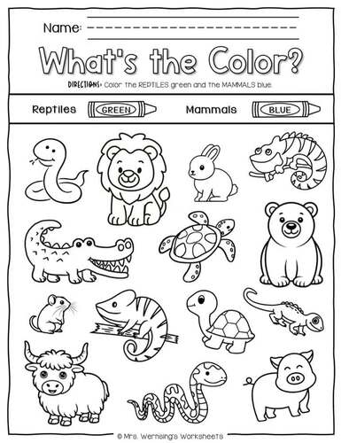 Animal Groups: REPTILES - KINDER SCIENCE by Mrs Wernsings Worksheets
