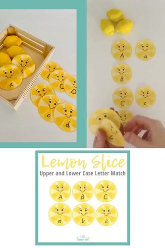 LETTER MATCH | Upper and Lower Case Letter Matching Cards | Lemon Slice